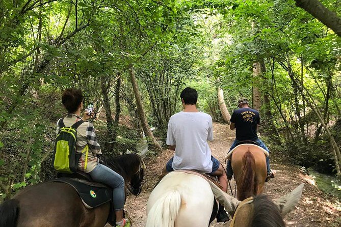 Horseback riding and wine tasting - Frequently Asked Questions