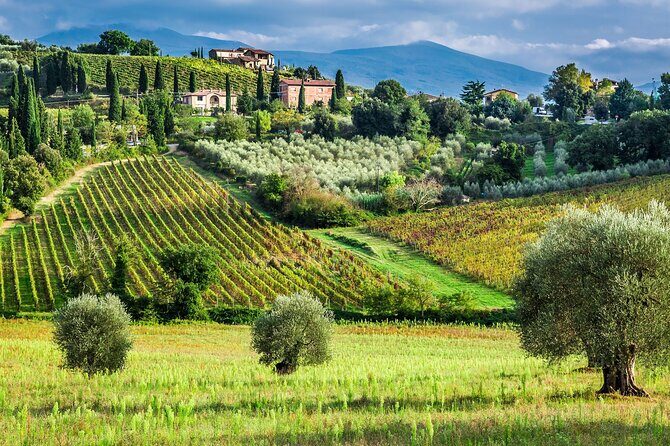 Horseback Riding and Wine Tasting Tour - What Makes This Tour Stand Out?