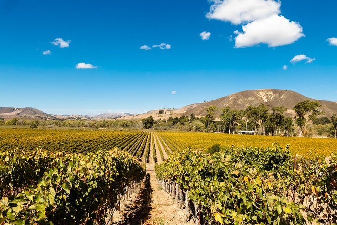 Horseback Riding and Wine Tasting Tour - Frequently Asked Questions