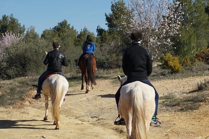 Horseback riding and wine tour (private tour) - A Closer Look at the Experience