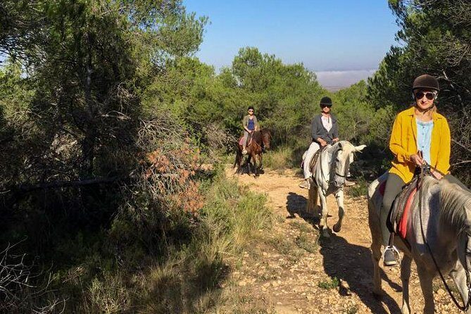 Horseback riding and wine tour (private tour) - FAQ: Your Practical Questions Answered