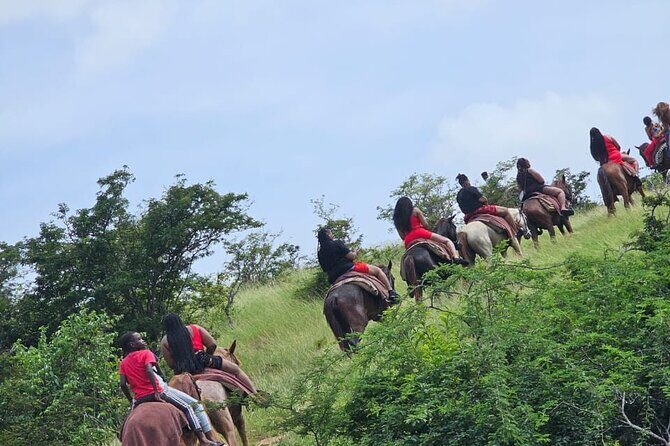 Horseback Riding at Hawksbill Beach in Five islands Antigua - A Closer Look at the Experience