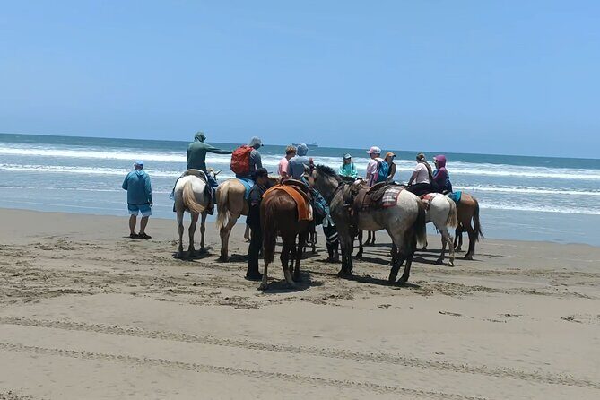 Horseback Riding at Stone Island on the Beach - Introduction: What’s this horseback ride all about?
