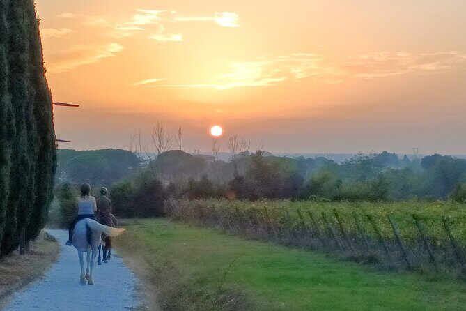 Horseback riding at sunset 1 hour at the Certosa di Pisa - The Experience: From Arrival to Sunset