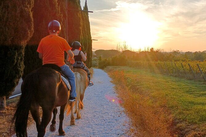 Horseback riding at sunset 1 hour at the Certosa di Pisa - The Sum Up