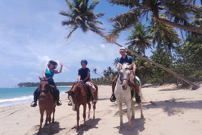 Horseback Riding at the Beach in Punta Cana - Authentic Experiences and Potential Drawbacks