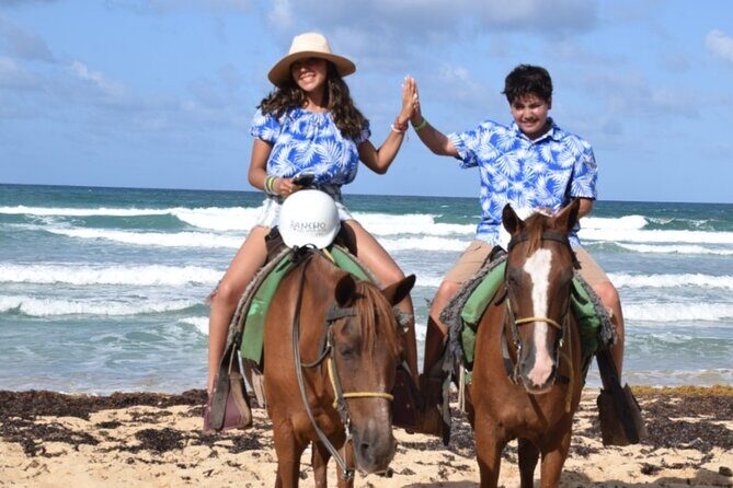 Horseback Riding at the Beach in Punta Cana - Who Is This Tour Best For?
