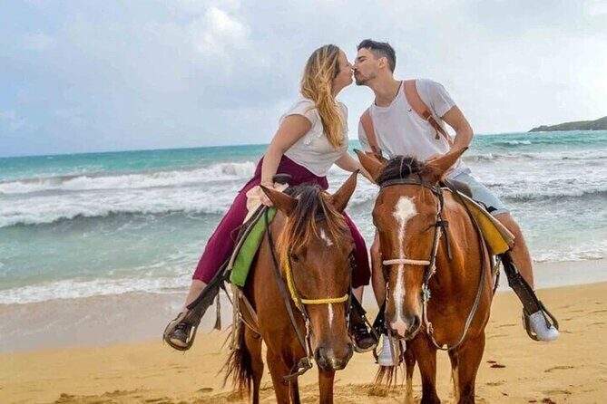 Horseback Riding at the Beach in Punta Cana - The Sum Up: Who Should Consider This Experience?