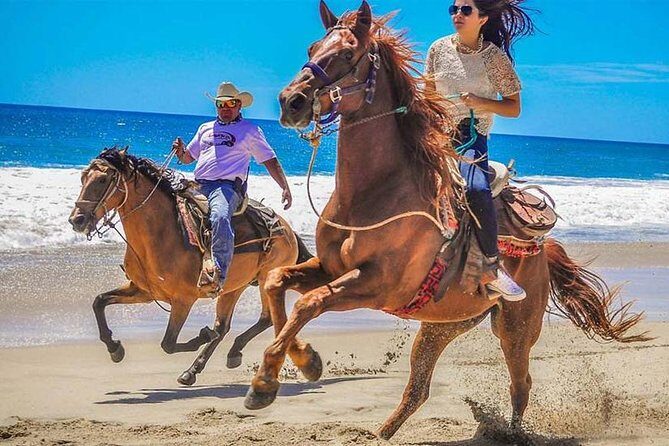 Horseback Riding & ATV Combo! Mountain Trails & Beautiful Beaches of BAJA! - The Sum Up