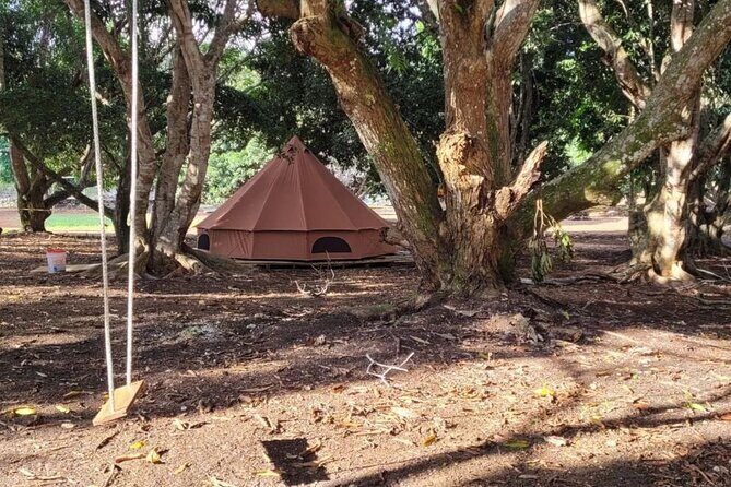 Horseback Riding, ATV & More in the Mountains of Montego Bay - Final Thoughts