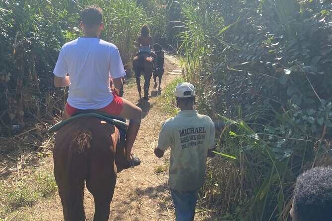 Horseback Riding + Bamboo River Rafting Experience from Ocho Rios - The Itinerary in Detail