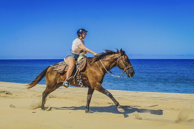 Horseback Riding Beach and Desert in Cabo by Cactus Tours Park - Authentic Experiences and Hidden Gems