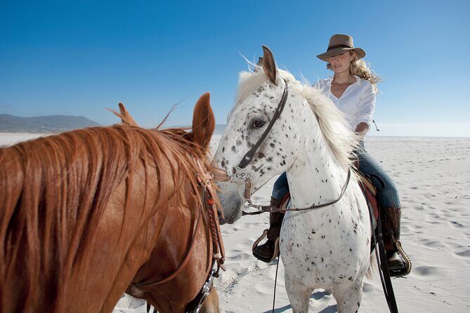 Horseback Riding Beach & Desert Adventure - Key Points