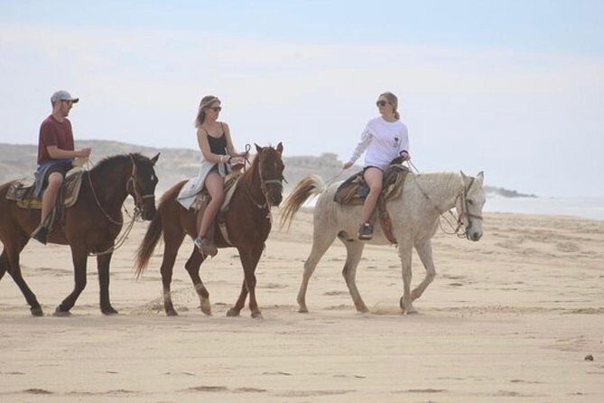 Horseback Riding Beach & Desert Adventure - Exploring the Route: What to Expect
