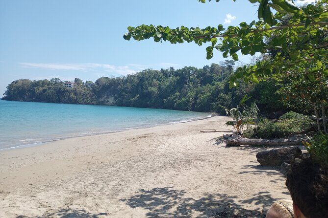 Horseback riding, Blue hole or Dunn's River Combo - Who Should Consider This Tour?