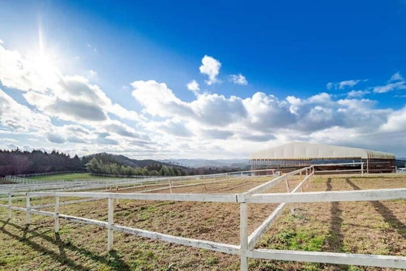 Horseback Riding Club to learn about connecting lives - Practical Details and Tips