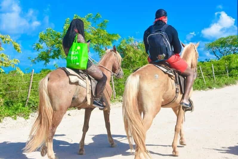Horseback riding, coffee, chocolate tasting and Macao beach - FAQ