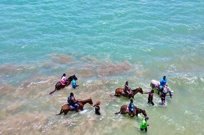 Horseback Riding Experience - What Travelers Are Saying