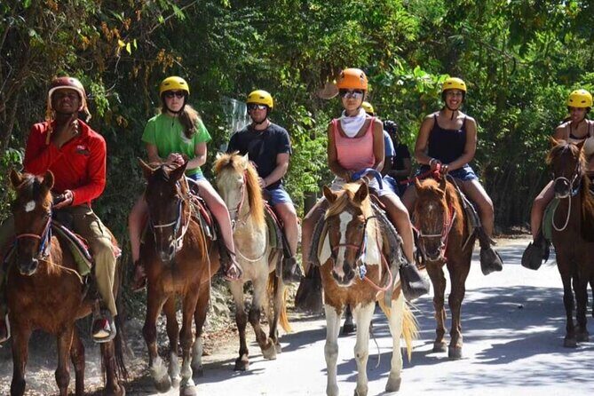 Horseback Riding Experience in Punta Cana - The Experience at a Glance