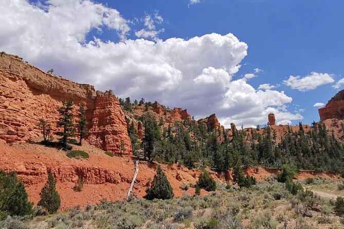 Horseback Riding Experience through Red Canyon with a Guide - An Introduction to Bryce Canyon’s Horseback Ride