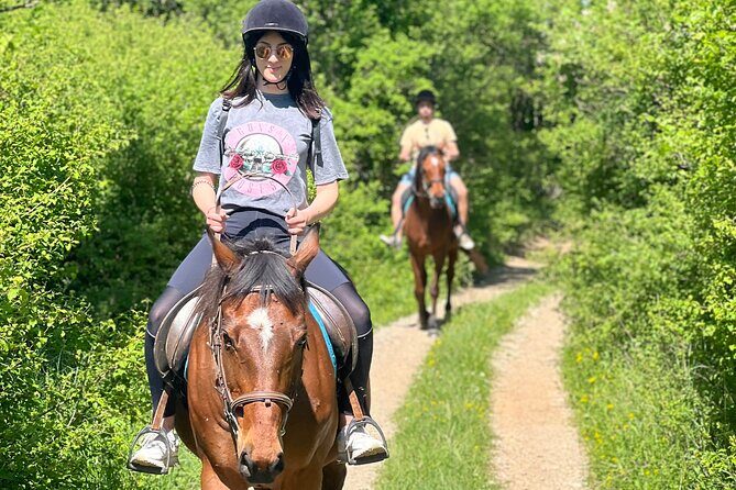 Horseback Riding Experience with transport from Dubrovnik - Transport & Practical Details