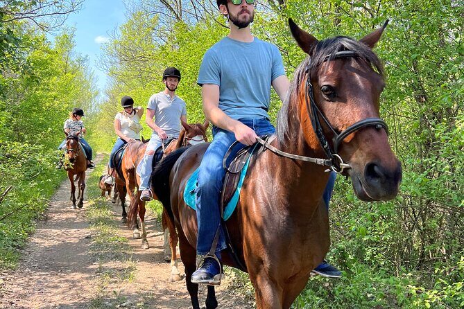 Horseback Riding Experience with transport from Dubrovnik - The Sum Up: Who Will Love This Tour?
