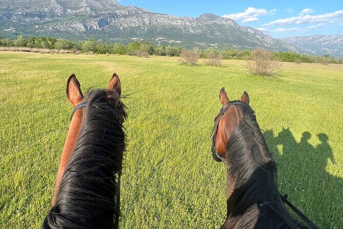 Horseback Riding Experience with transport from Dubrovnik - FAQ