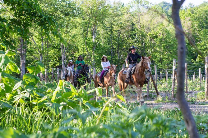 Horseback-Riding in a Country Side in Sapporo - Private Transfer is Included - The Experience in Detail