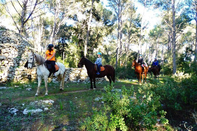 Horseback Riding in Cala Mitjana, Menorca, Spain - Practical Details & Value