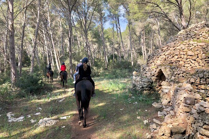 Horseback Riding in Cala Mitjana, Menorca, Spain - The Sum Up: Who Should Consider This Tour?