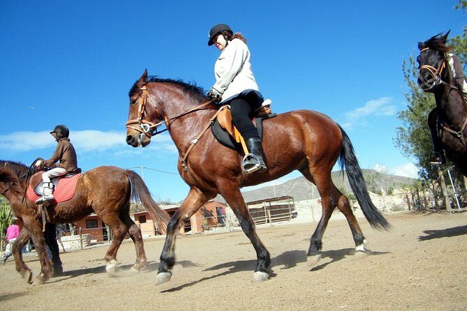 Horseback Riding in Fuerteventura for 1 or 2 hours, Spain - What to Expect from the Horseback Riding Tour