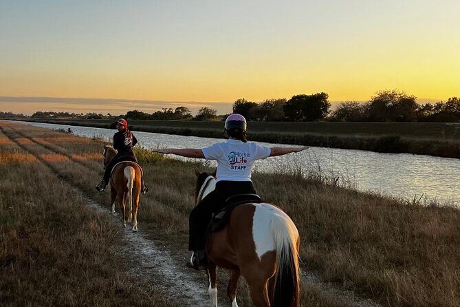 Horseback Riding in Miami - The Experience in Detail