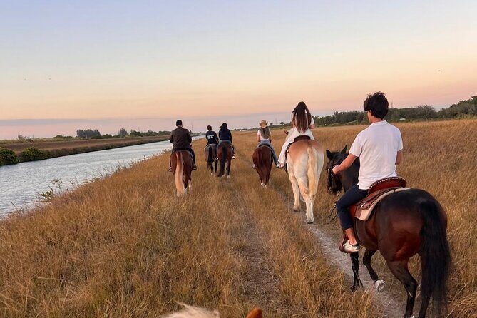 Horseback Riding in Miami - The Practicalities: Booking, Pricing, and Logistics