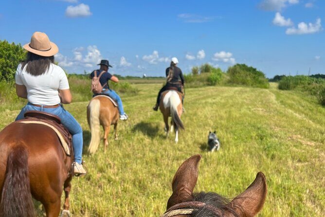 Horseback Riding in Miami - Final Thoughts