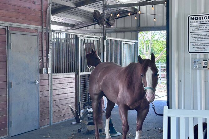 Horseback Riding in Miami - FAQs