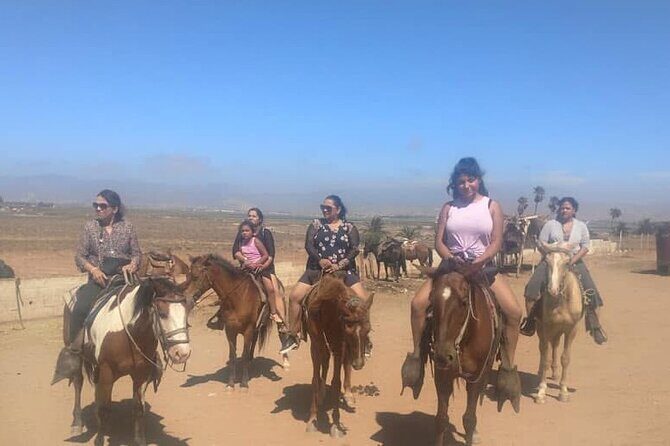 Horseback Riding in Punta Banda - A Closer Look at the Experience