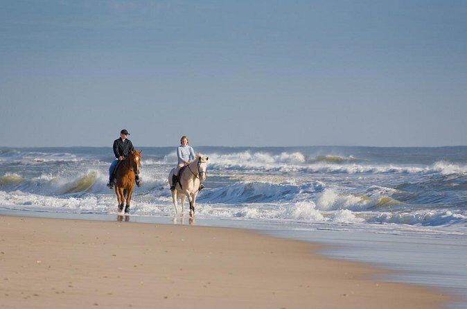 Horseback riding in Punta Cana - Why This Tour Offers Good Value