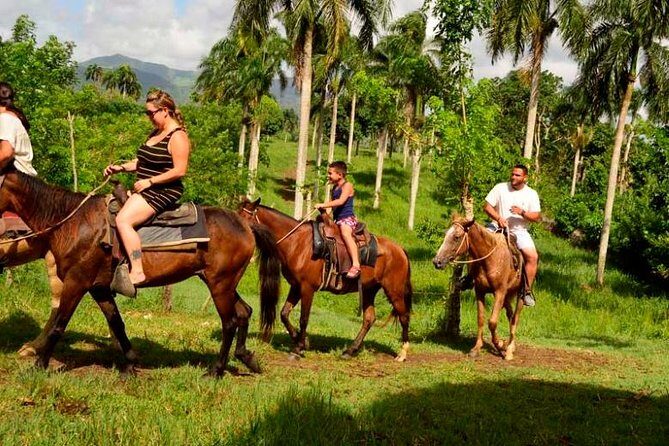 Horseback Riding in Punta Cana - Discovering the Horseback Riding Experience in Punta Cana
