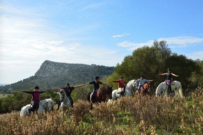 Horseback Riding in Randa Valleys, Mallorca, Spain - What to Expect from the Mallorca Horseback Tour