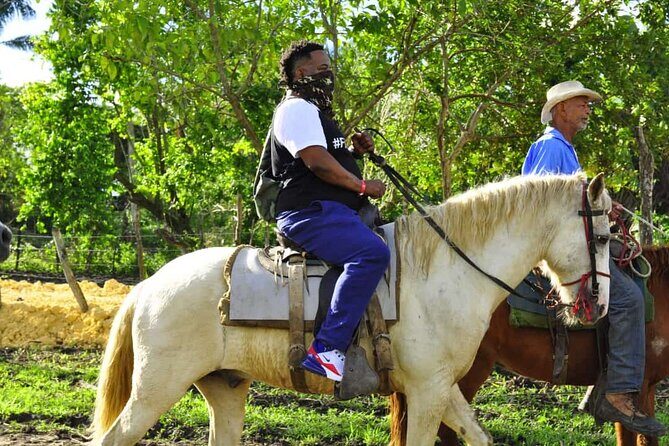 Horseback Riding in the Dominican Jungle - Practical Tips for Booking and Enjoying the Tour