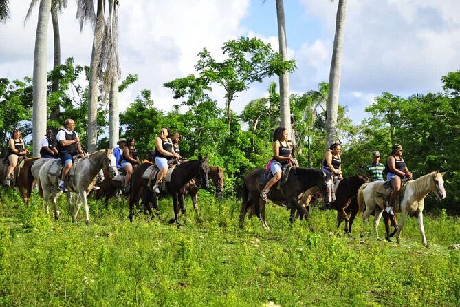 Horseback Riding in the Dominican Jungle - Who Would Love This Tour?