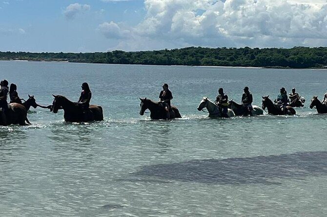 Horseback Riding in the Ocean from Ocho Rios & Runaway Bay - The Sum Up