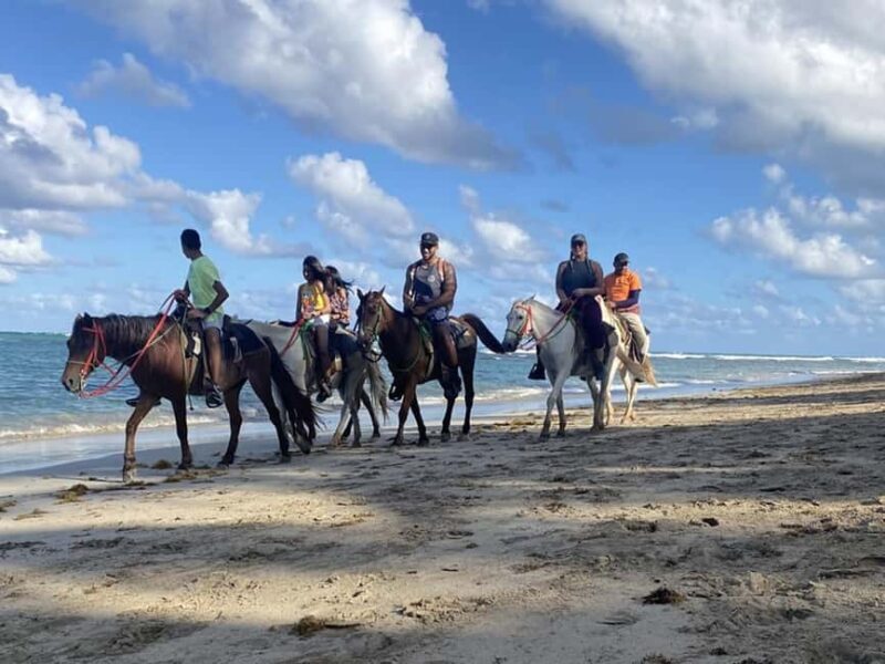 Horseback Riding Macao Beach Experience Paradise onHorseback - The Experience from Traveler Perspectives