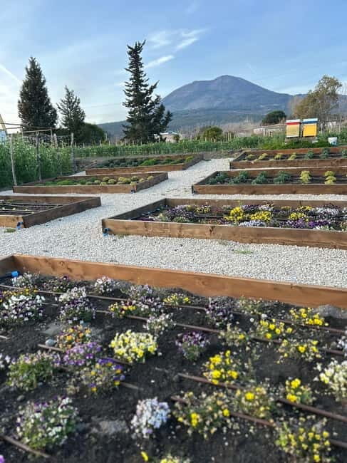 Horseback Riding on Mt.Vesuvius with Wine Tasting and Dinner - The Logistics: What to Expect
