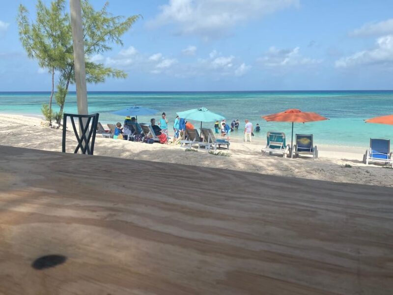 Horseback riding on Private Beach/ Turks and Caicos Islands - The Sum Up: Who Is This Tour Best For?