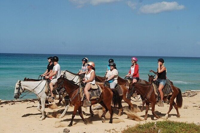 Horseback Riding on Punta Cana Beach with Transportation - An Authentic Look at the Tour Experience