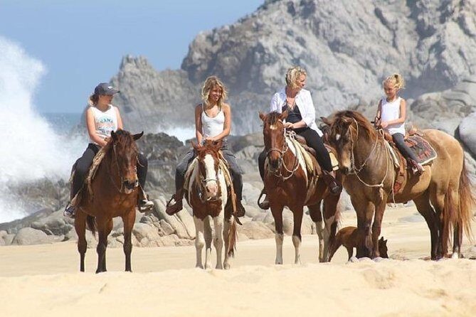 Horseback Riding on The Beach and Through The Desert! - FAQ