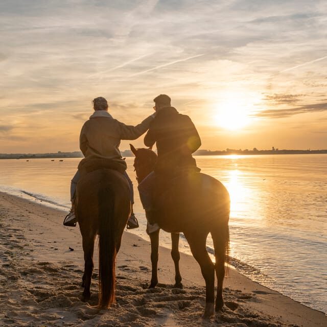 Horseback Riding On The Beach At Sunset - Who Benefits Most from This Ride?