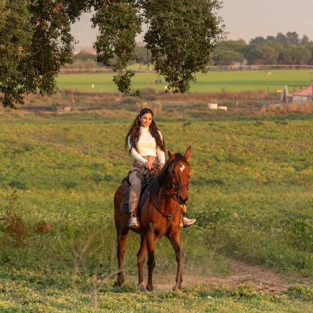 Horseback Riding On The Beach At Sunset - FAQ