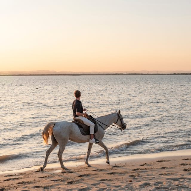 Horseback Riding On The Beach At Sunset - Final Thoughts